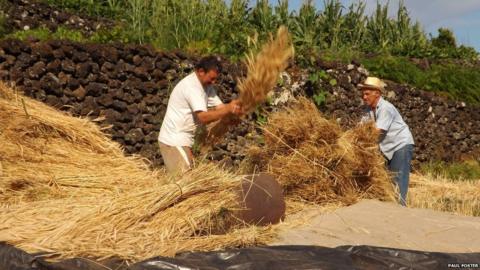 Your pictures: Rural life - BBC News