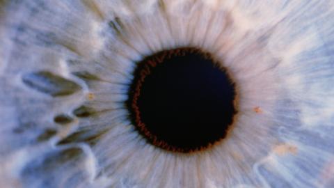 Shape of eye's 'light pipes' is key to colour sorting - BBC News