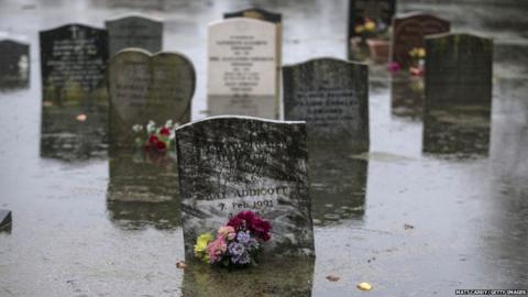 Week in pictures: 1-7 February 2014 - BBC News