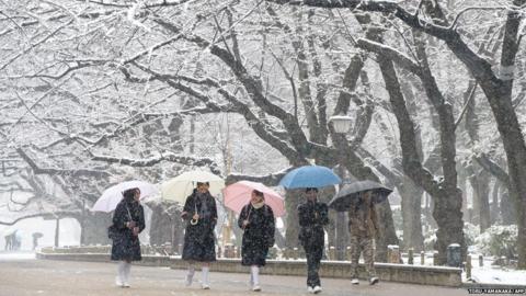 Day in pictures: 14 February 2014 - BBC News
