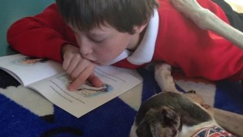 Children urged to read to dogs, perfect listeners - BBC News