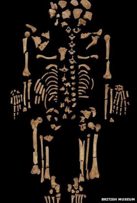 Ancient skeleton is the earliest case of cancer yet detected - BBC News
