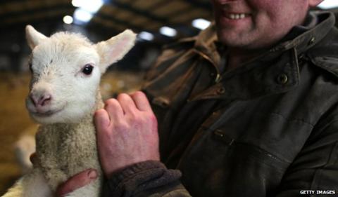 Vicar or publican - which jobs make you happy? - BBC News