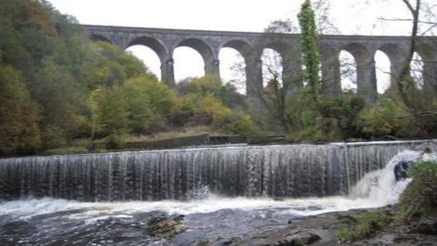 Urban rivers cleanest for 20 years, Cardiff University says - BBC News