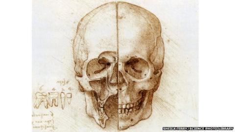 What Leonardo taught us about the heart - BBC News