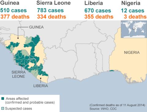 Ebola crisis vastly underestimated, says WHO - BBC News