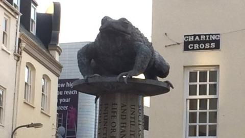 Jersey toad is unique species, say experts - BBC News