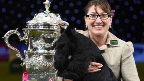 'No doubt' Crufts dog Jagger was poisoned, says owner - BBC News