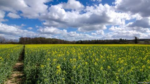 Your April weather photos - BBC Weather