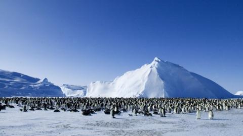 Planet Earth team head to Netflix for Our Planet series - BBC News