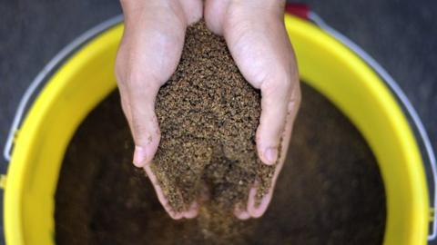 Monsanto ordered to pay $289m damages in Roundup cancer trial - BBC News