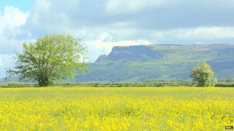 Farming in harmony: Northern Ireland farmers protecting wildlife on ...