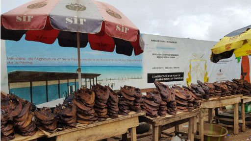 Guinée : la petite histoire derrière le Konkoé - BBC News Afrique