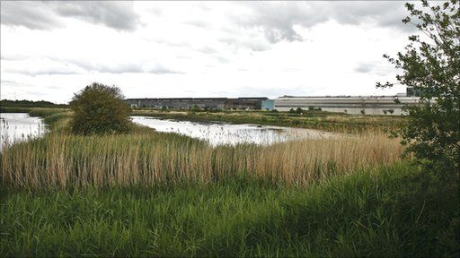 Nature reserve opens at Shotton steelworks - BBC News