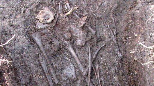600-year-old skeleton mystery at Fermanagh crannog site - BBC News
