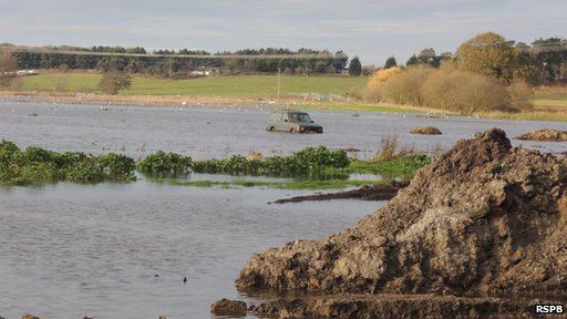 Floods force RSPB Suffolk to cancel opening of reserves - BBC News