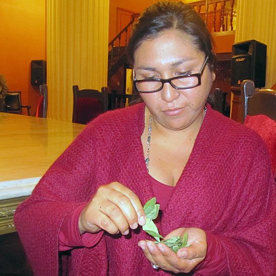 En fotos: las razones por las que se masca coca - BBC News Mundo