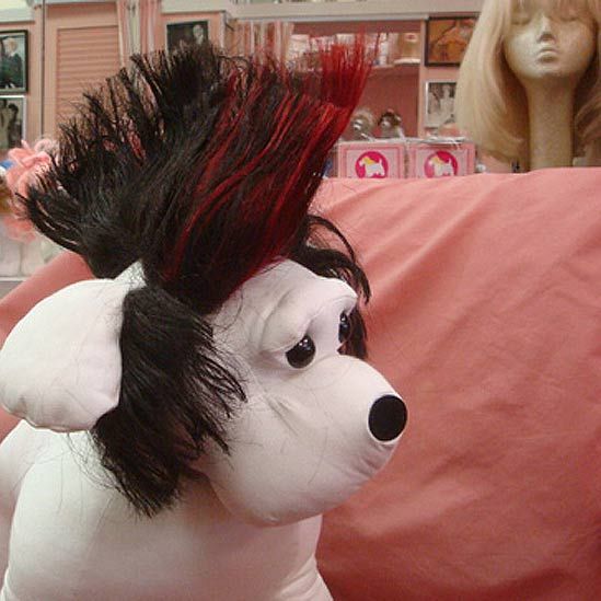 En fotos: pelucas para perros, de todos los colores y estilos - BBC ...