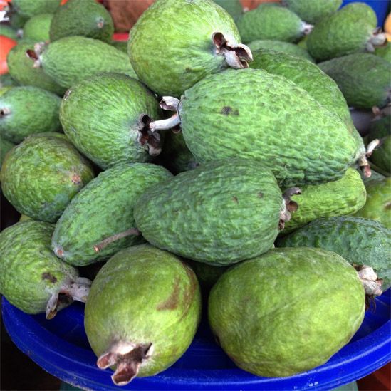 En fotos: las frutas que descubrí en Colombia. ¿Y las suyas? - BBC News ...