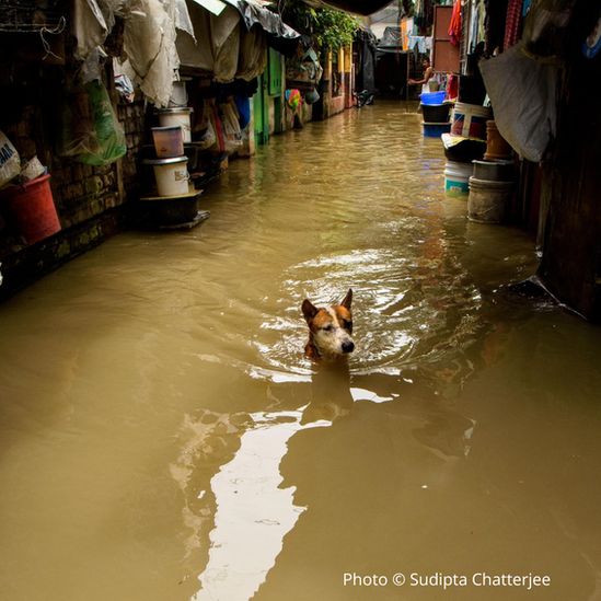 Weather Photographer of the Year: Check out the shortlist - BBC Newsround
