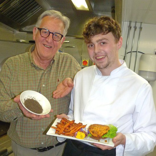 Hotel plan to serve up midge burgers - BBC News
