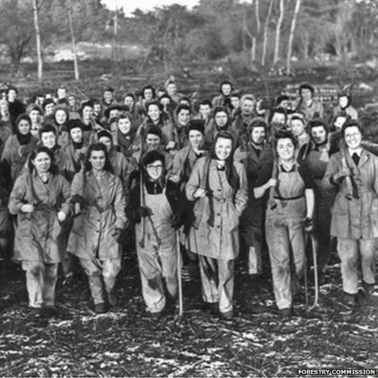 The Women's Timber Corps: Who were the 'Lumberjills' and what did they ...