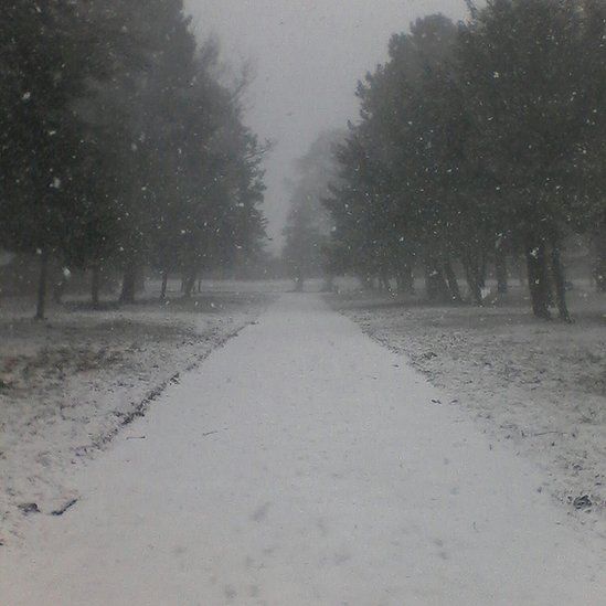Your photos of snow - BBC Weather