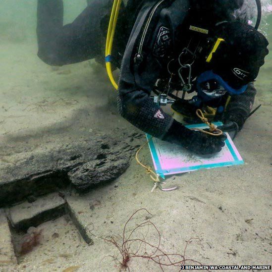 In pictures: Mystery shipwreck - BBC News