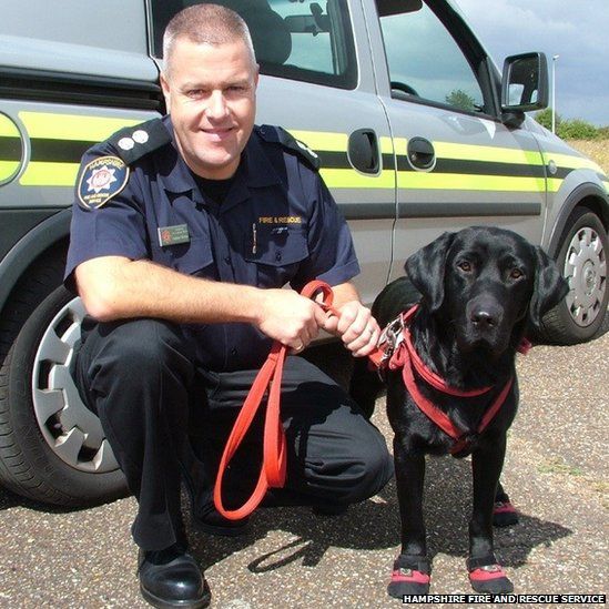 Hampshire fire dog sisters retire after 18 years service - BBC News