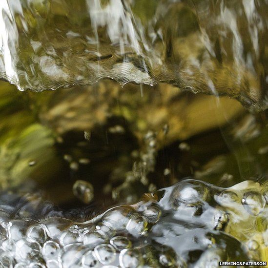 In pictures: Spring Fling photographers - BBC News