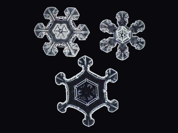 In Pictures: High-res snowflake camera captures magical images - BBC ...