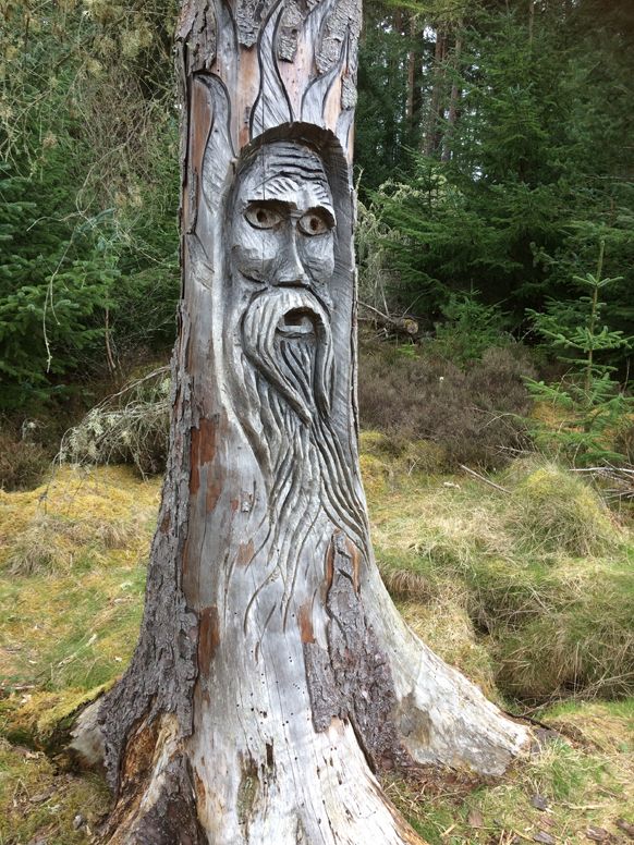 Your pictures of Scotland: 14-21 April - BBC News