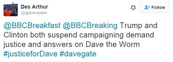 Widnes worm Dave wriggles into record books - BBC News