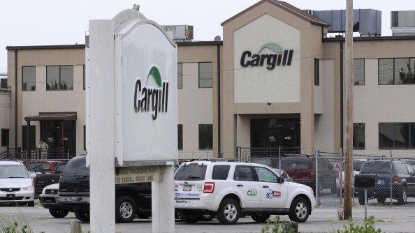 Cargill in deforestation pledge as part of UN summit - BBC News