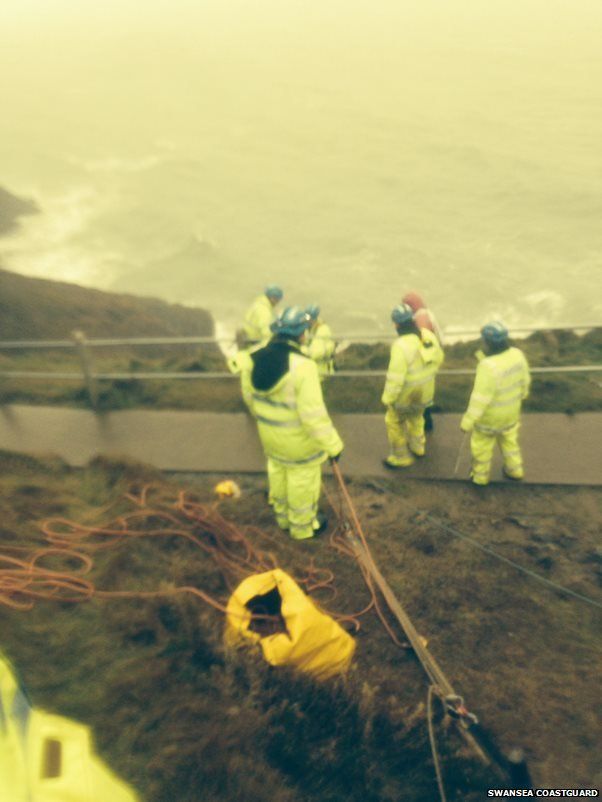 Malamute Luka Stranded After Mumbles Cliff Fall Rescue Bbc News