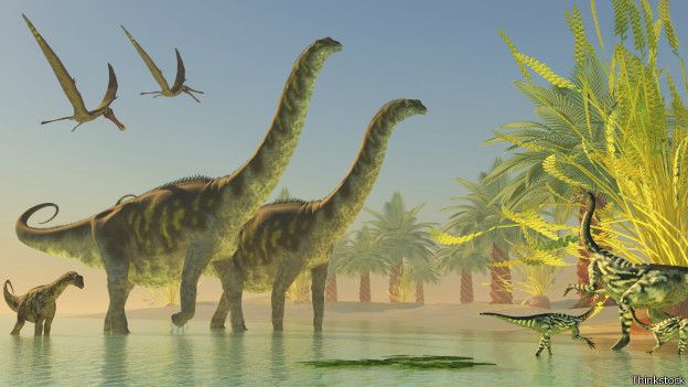 Seis cosas que quizás no sabía sobre los dinosaurios - BBC News Mundo