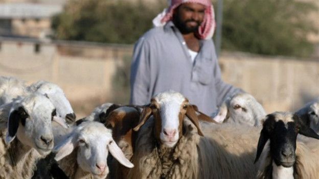 तेल नहीं होगा तो सउदी के लोग क्या करेंगे? - BBC News हिंदी