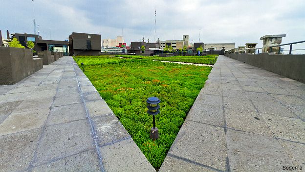 Las azoteas verdes que oxigenan a Ciudad de México - BBC News Mundo
