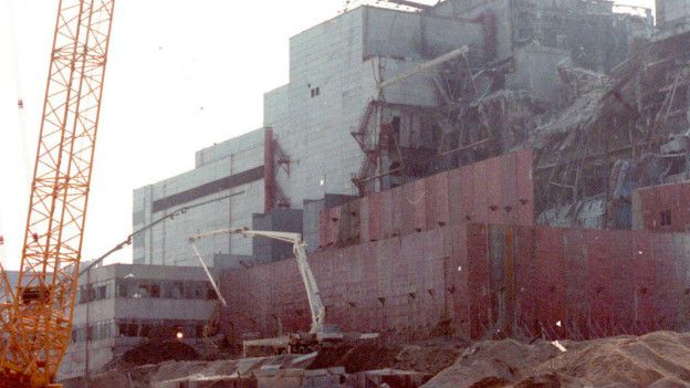 O misterioso destino da vida selvagem em torno de Chernobyl - BBC News ...