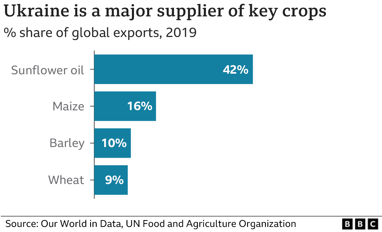 How Can Ukraine Export Its Harvest To The World Bbc News