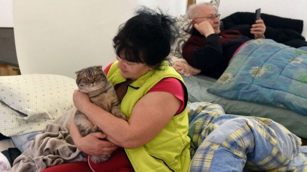 How many Ukrainian refugees are there and where have they gone? - BBC News