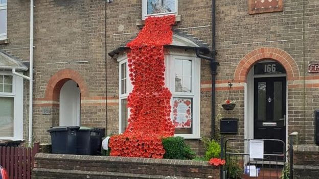 In pictures: Poppy displays across southern England - BBC News