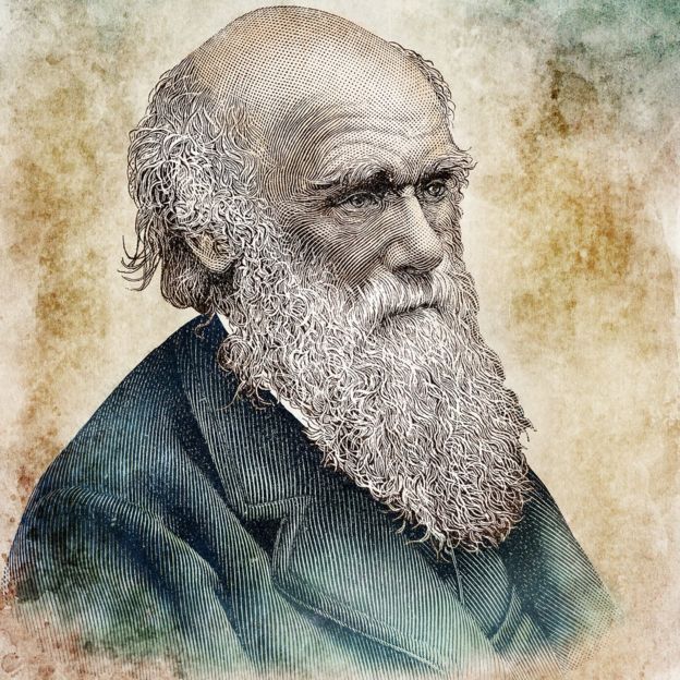 A outra grande obra de Charles Darwin que poucos conhecem (e não é ...