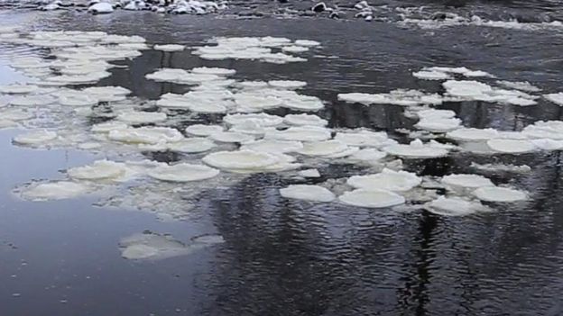 Rare ice pancakes form on River Wharfe in Yorkshire - BBC News