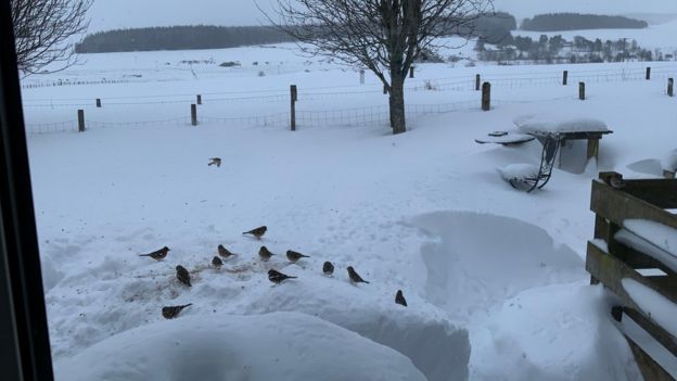 UK weather: Snow across England and Scotland in pictures - BBC News
