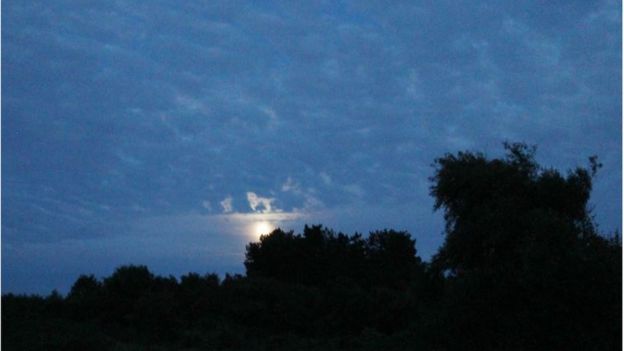 Strawberry moon: Your pictures - BBC News