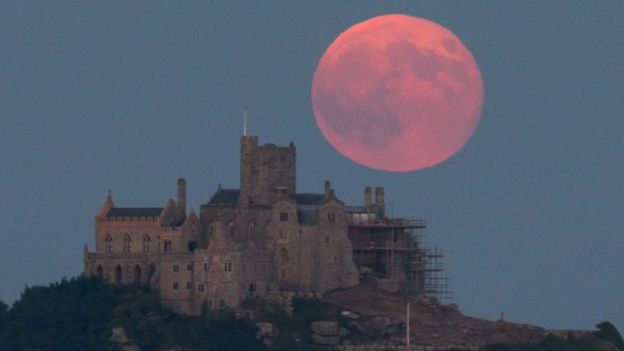 Pink Moon: Why the moon won't actually be pink in April - BBC Newsround