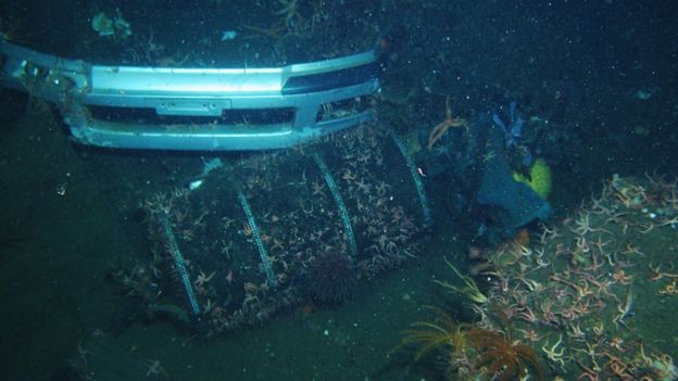 Diving into the world of the dead - BBC News