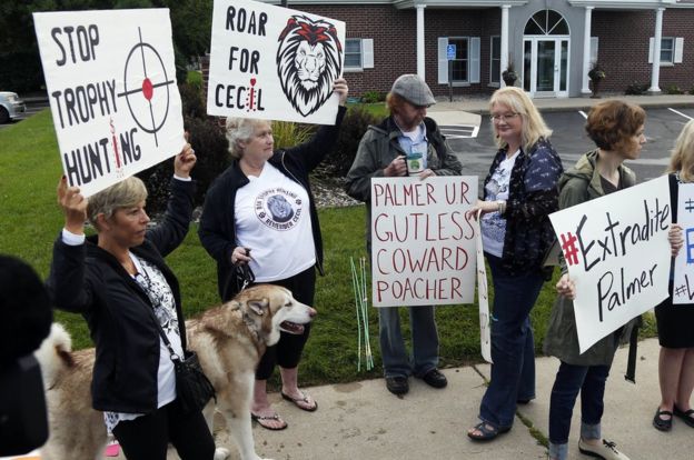 Cecil the lion: Walter Palmer returns to work as dentist - BBC News