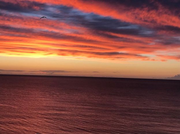 Your pictures of Scotland: 7 - 14 October - BBC News